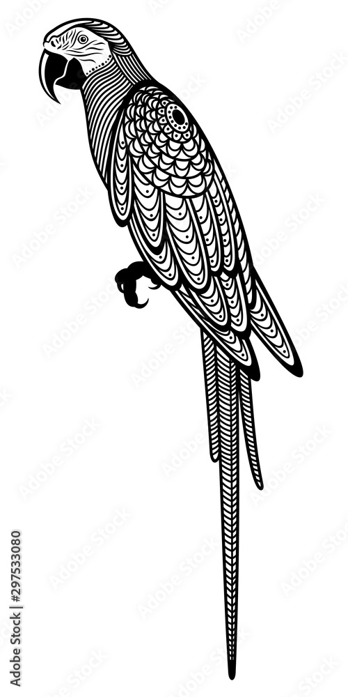 Vector illustration of zentangle, decorative, isolated, sitting parrot ...