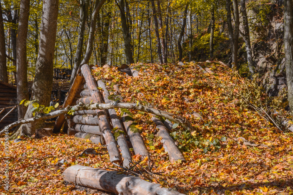 Dugout (or dug-out, pit-house, earth lodge, cellar dug) from logs in ...