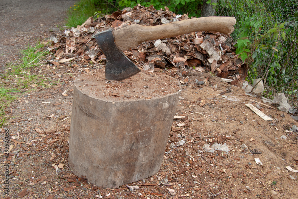 Ax stuck in the stump. wooden stump in the forest. Deforestation man ...