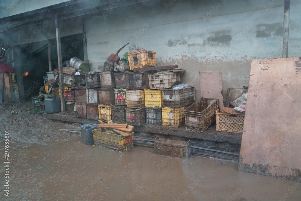Damage of heavy rain flooding in apple orchard Stock Photo | Adobe Stock