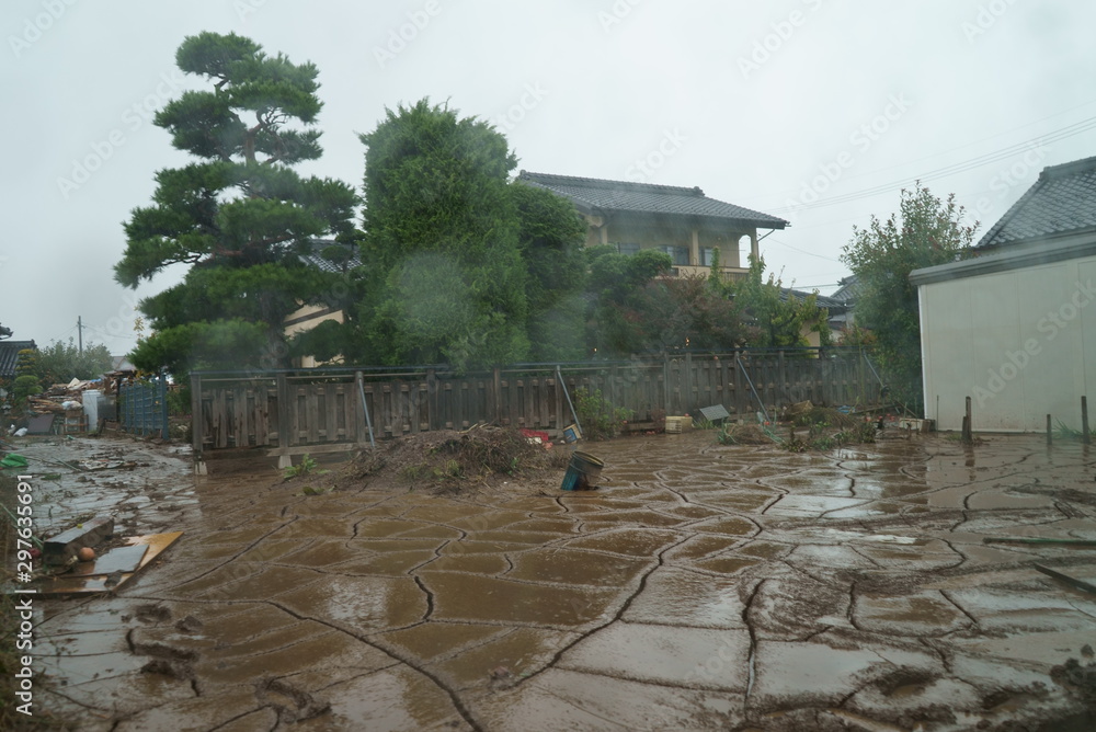 Damage of heavy rain flooding in apple orchard Stock Photo | Adobe Stock