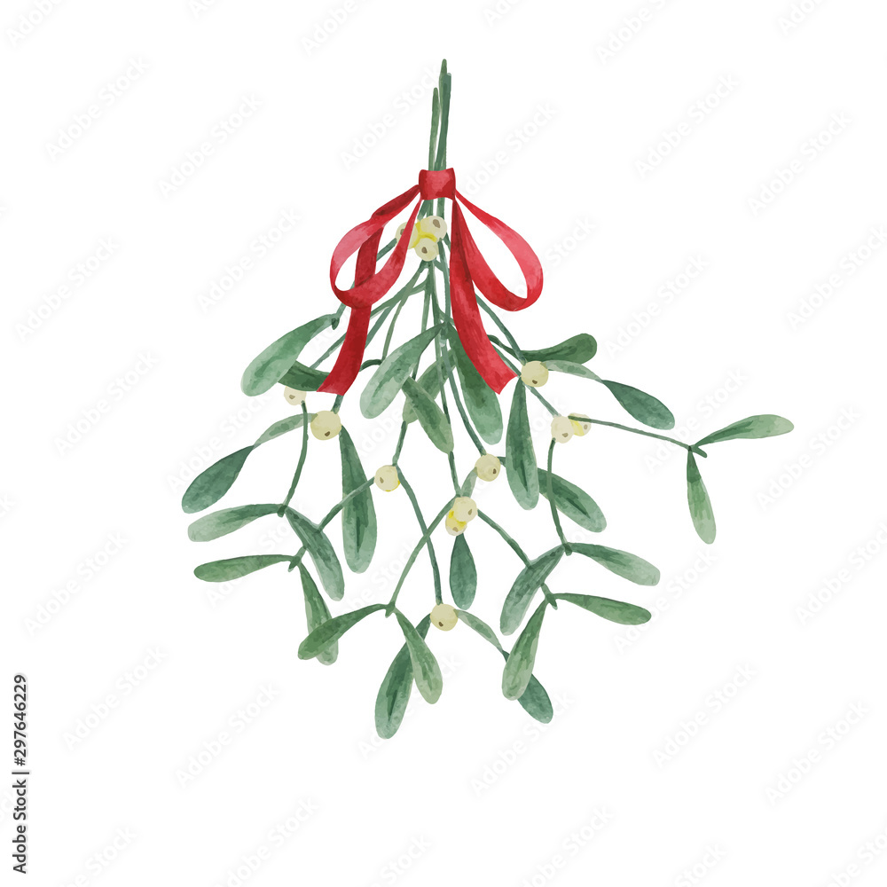 Christmas traditional watercolor hanging mistletoe bouquet with red bow ...
