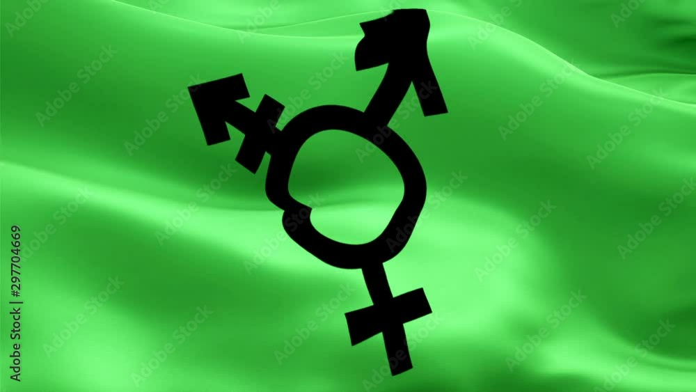 Israeli transgender Flag Rainbow waving. 3d Israeli genderqueer Pride ...