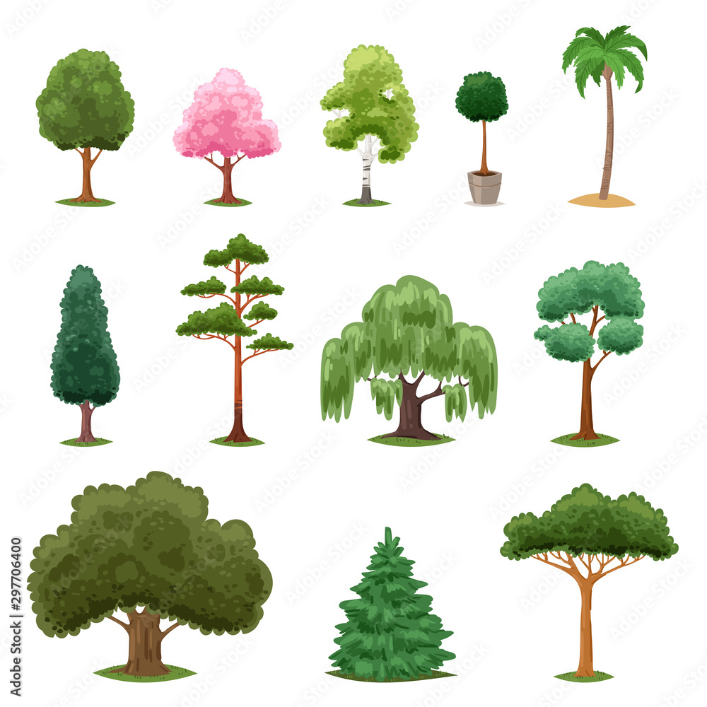 Tree types vector green forest pine treetops collection of fir palm ...
