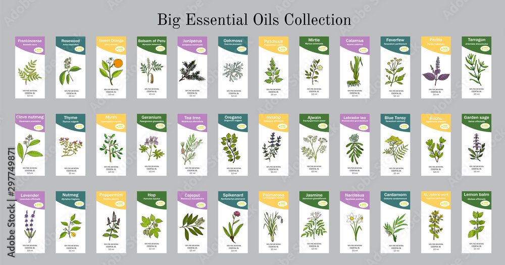 Big set of essential oil labels Stock Vector | Adobe Stock