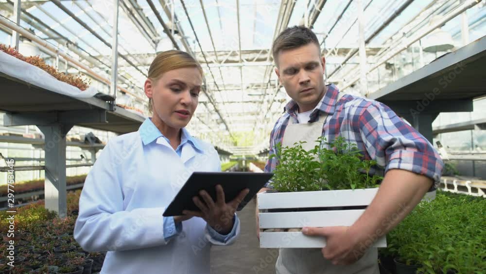 Certification expert checking farm, discussing farming technology with ...