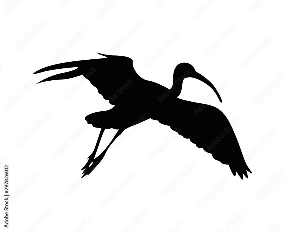 Ibis bird vector silhouette Stock Vector | Adobe Stock