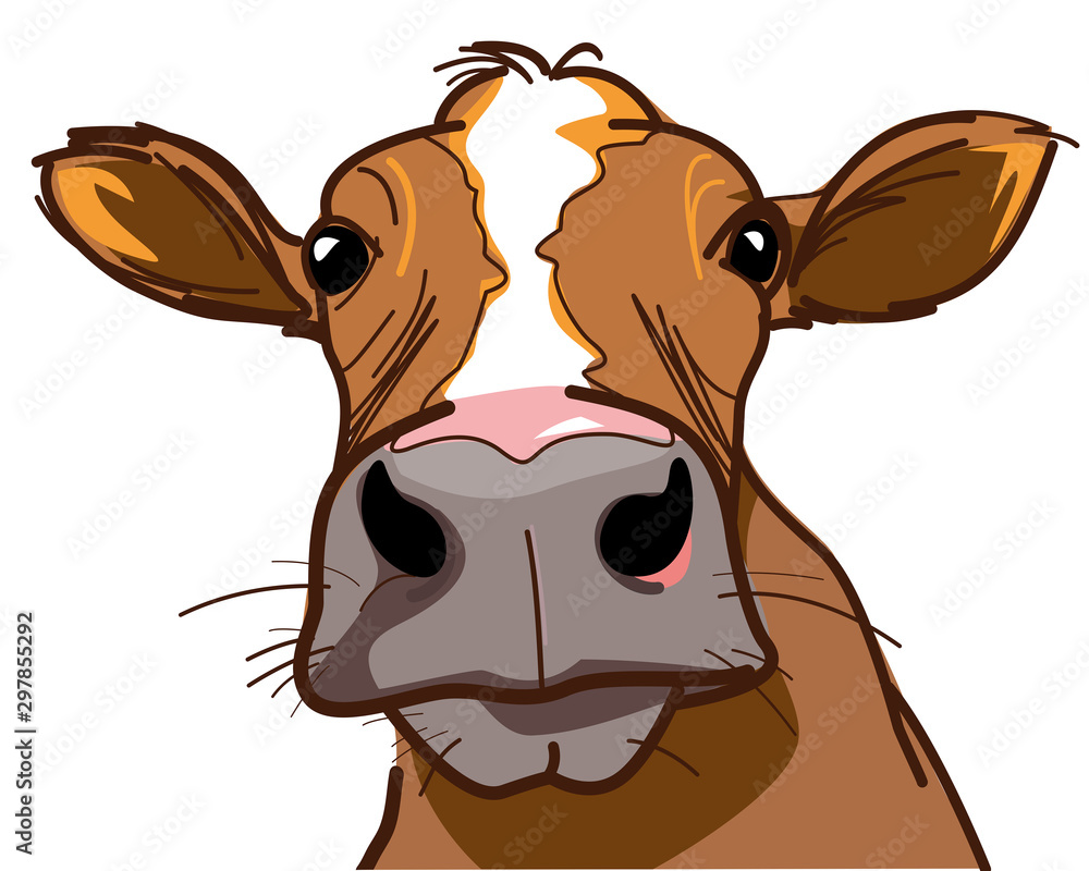 Farm, curious cow looking at you - vector image Stock Vector | Adobe Stock