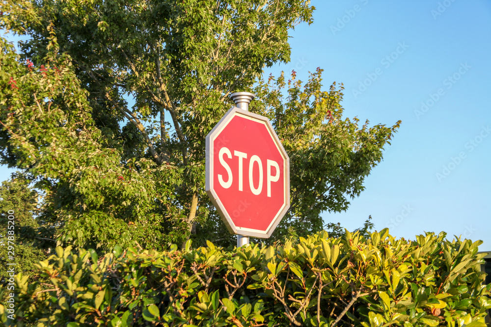 Signage board, sign, STOP, in the middle of the trees and in the ...