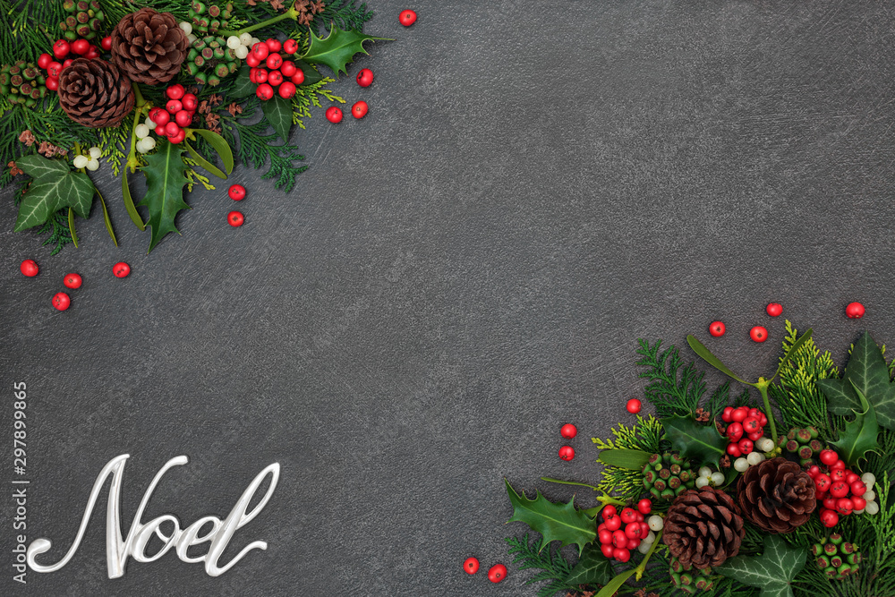 Noel background border with silver sign and winter flora of holly with ...