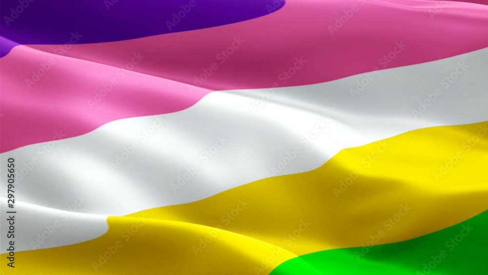 Rainbow Lesbian Pride Flag Video Waving In Wind New Lesbian Marriage