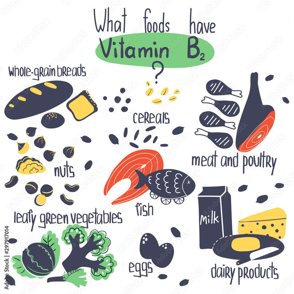 Hand drawn vitamin B3 niacin food sources concept: mushrooms, potatoes ...