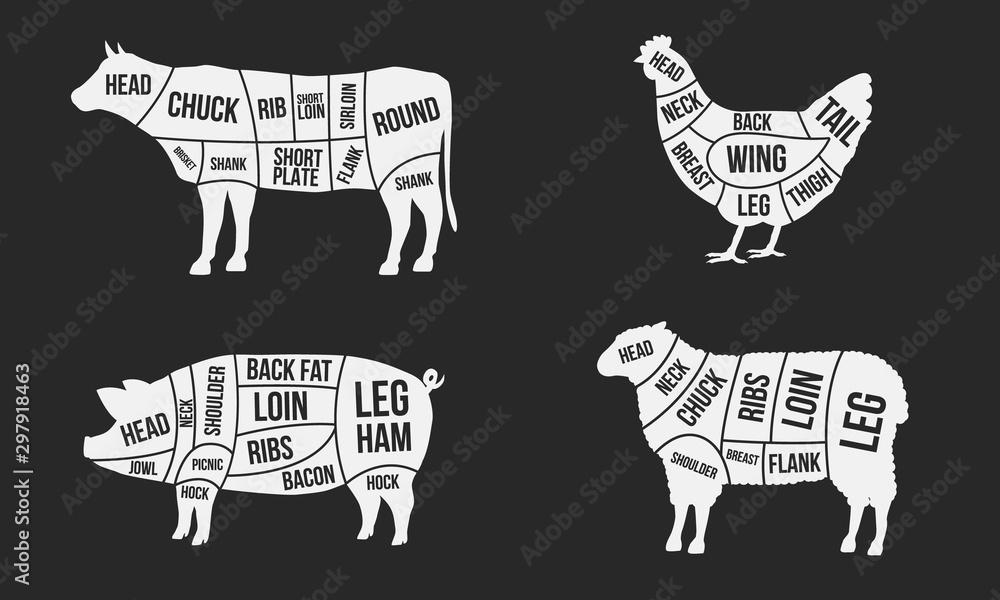 Meat cuts diagrams. Beef, pork, mutton and chicken cuts of meat ...