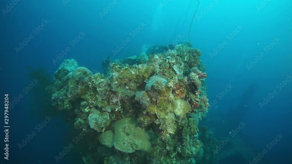 Coral and sea life on ship wreck underwater on seabed of Pacific Ocean ...