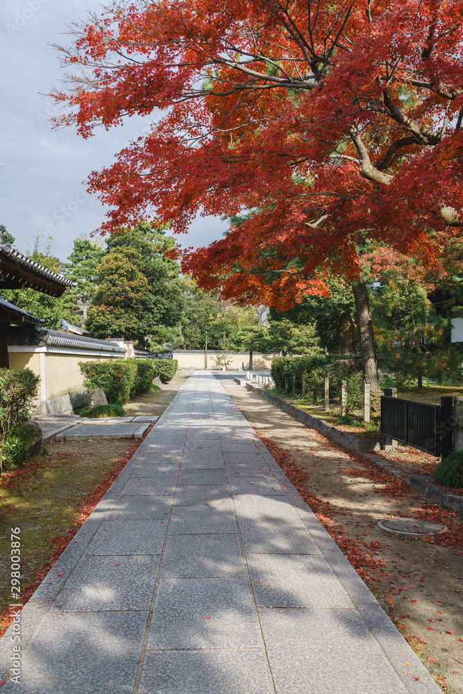 Road and Maple Tree in a Traditional Japanese Temple, Kyoto, Japan ...