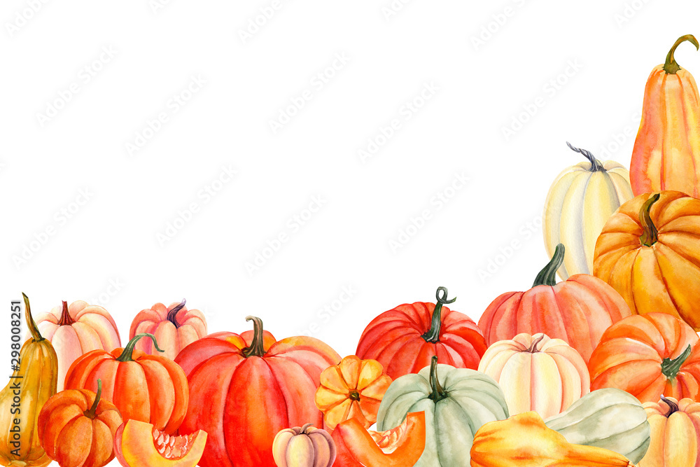 autumn pumpkins on an isolated white background, watercolor painting ...