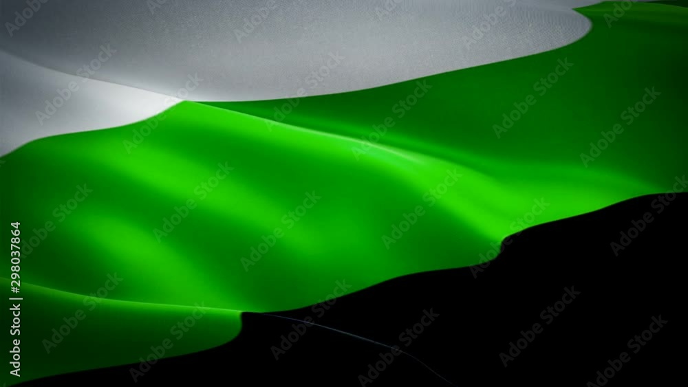 Vidéo Stock Non binary Pride Flag Rainbow flag video waving in wind ...