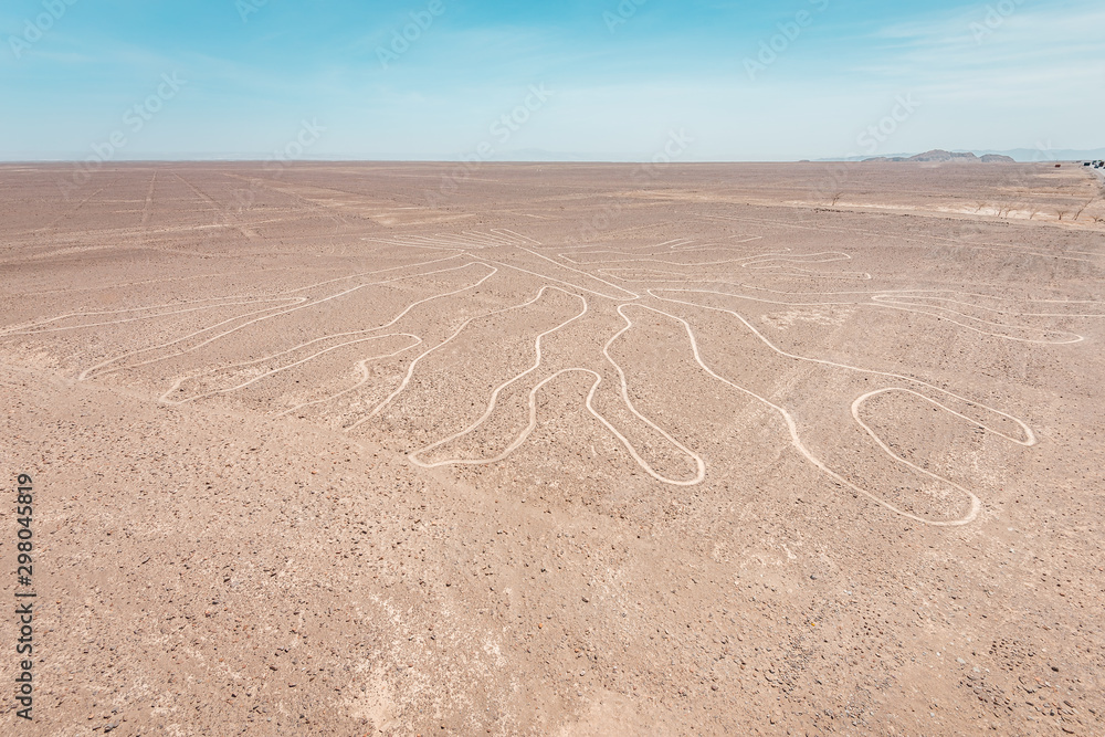 Nazca Lines in the desert of Peru, mystical signs geoglyphs in the sand ...