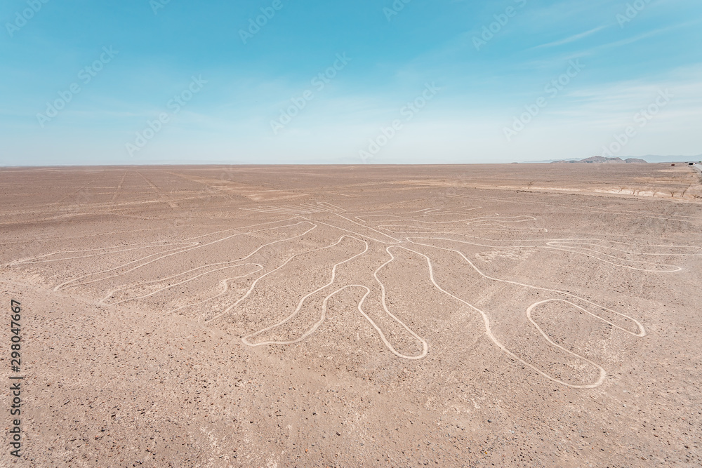 Nazca Lines in the desert of Peru, mystical signs geoglyphs in the sand ...