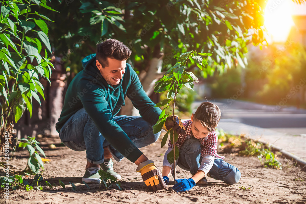 The father and son planting a tree Stock Photo | Adobe Stock