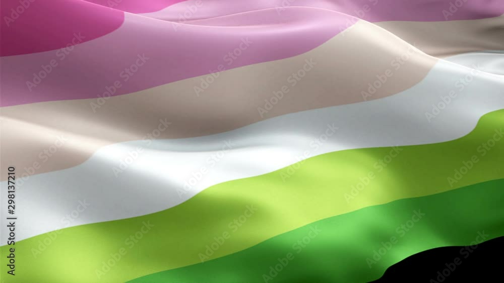 Neutrois Woman Bigender Flag Rainbow waving. 3d Non binary Pride Symbol ...