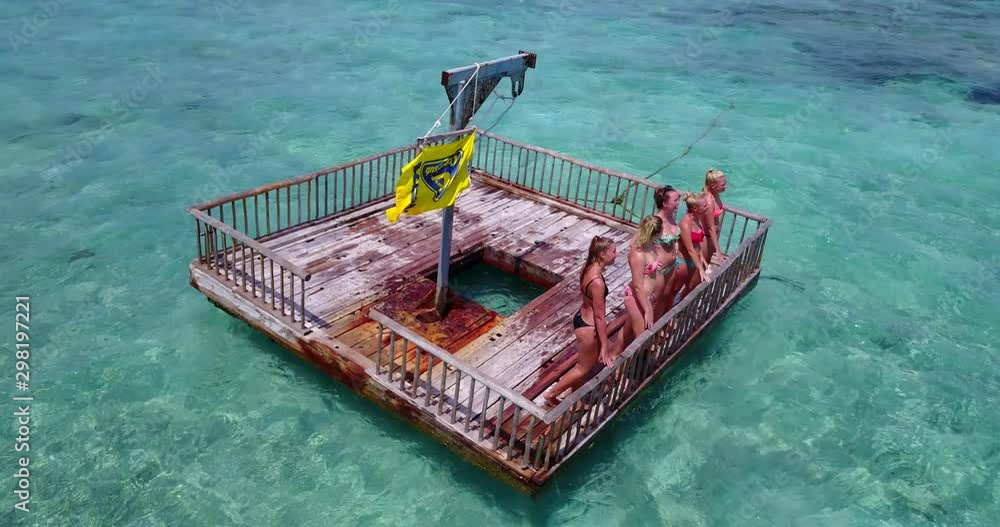Five young women in bikinis stand and relax on a rusty floating dock in ...