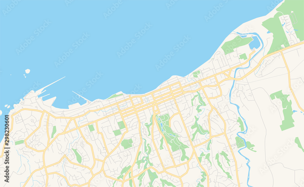 Printable street map of New Plymouth, New Zealand Stock Vector | Adobe ...