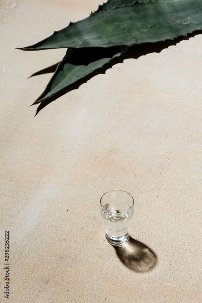 Mezcal is a mexican distilled alcoholic beverage made from any type of ...