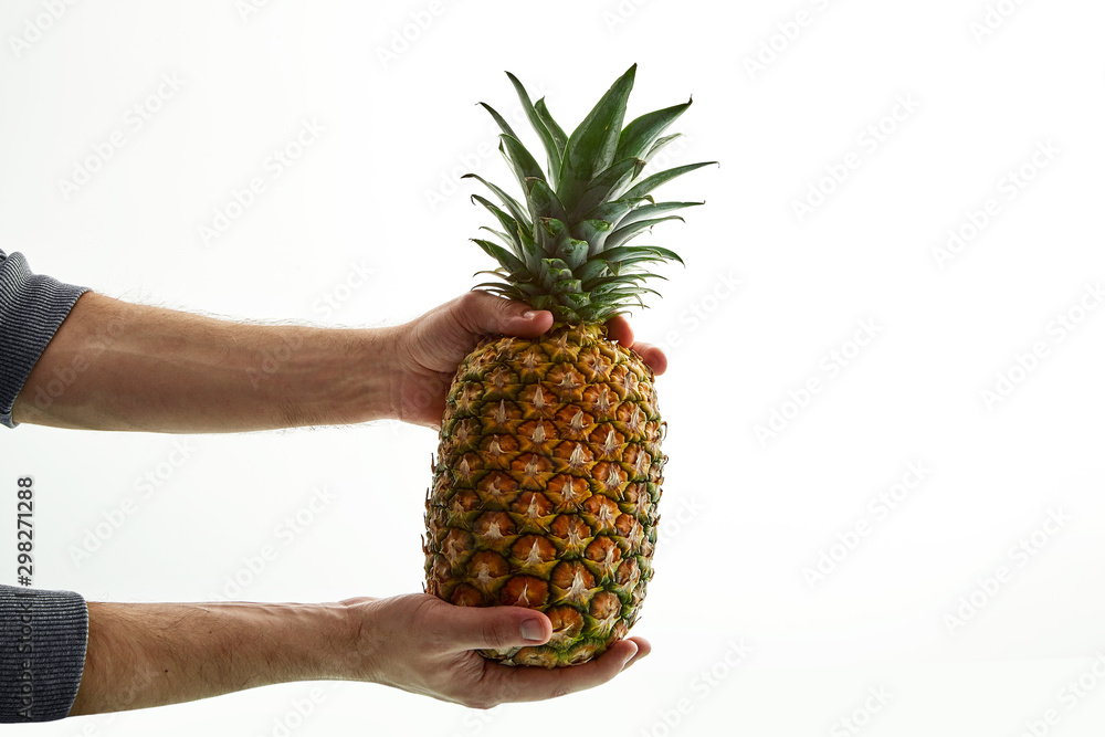 Tasty pineapple in the hand on a white background... Hand holding a ...