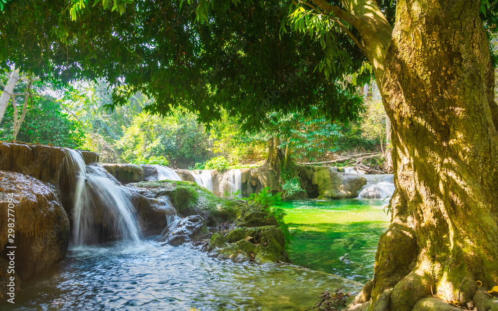 Panorama beautiful fresh green nature scenic landscape mini waterfall ...