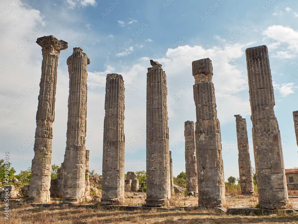 Hellenistic Architecture