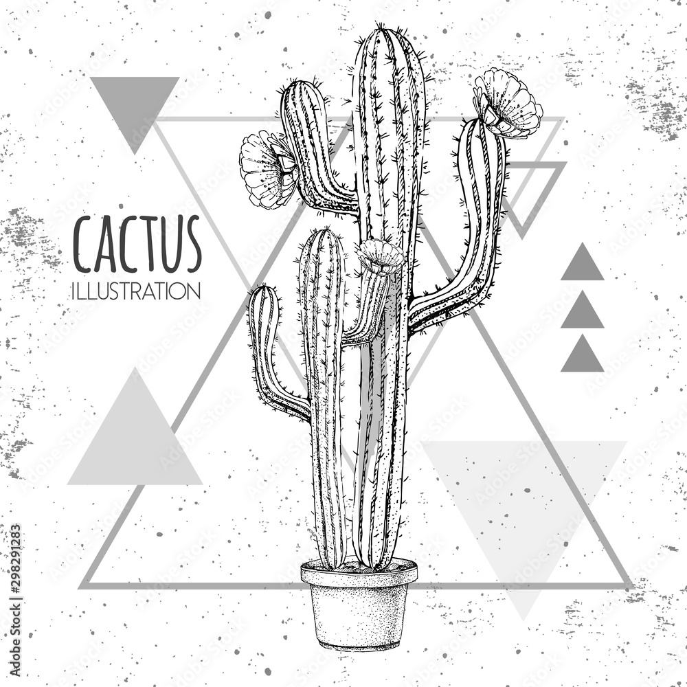 Hand drawing cactus vector illustration on grunge triangle background ...