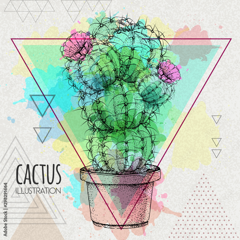 Hand drawing cactus vector illustration on artistic watercolor triangle ...