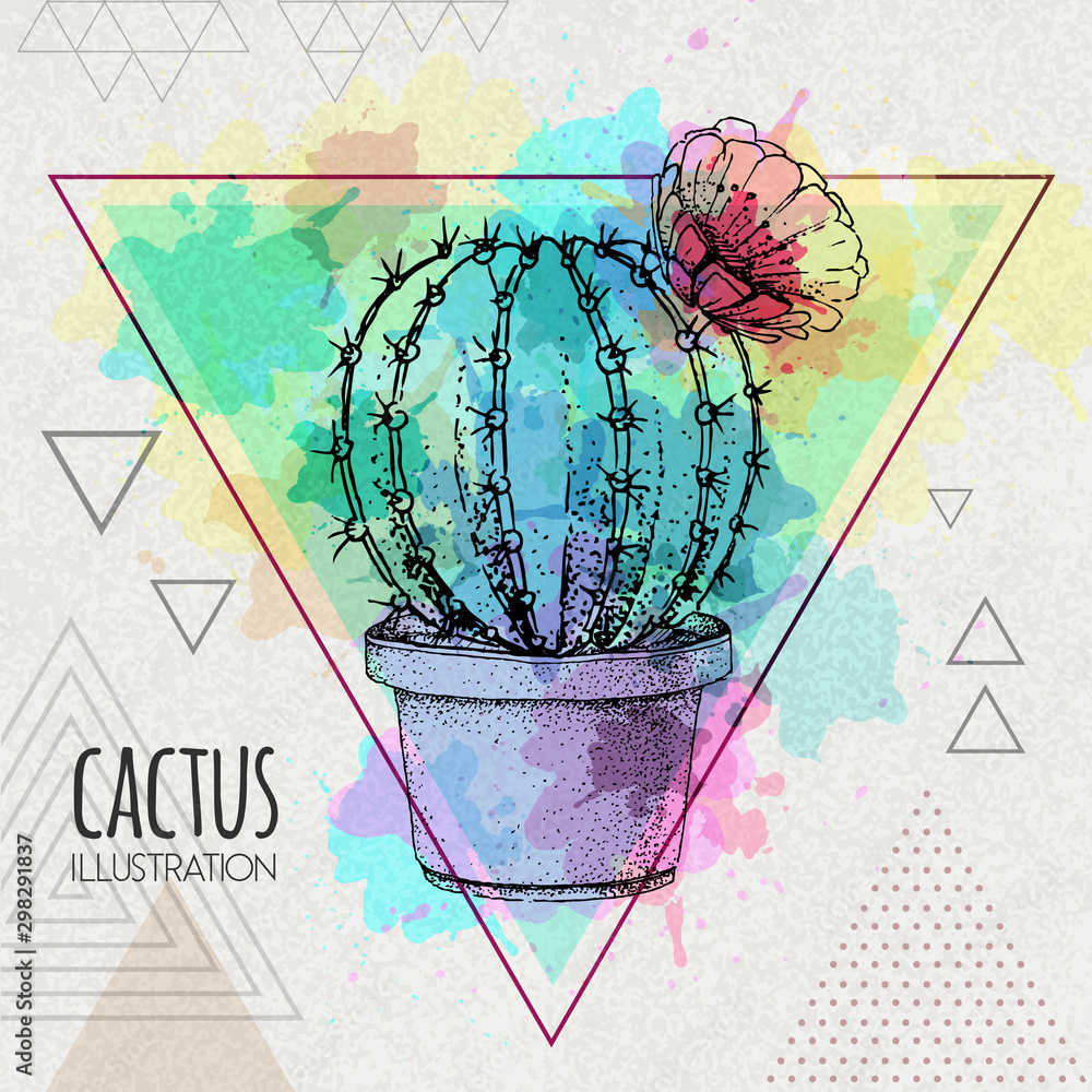 Hand drawing cactus vector illustration on artistic watercolor triangle ...