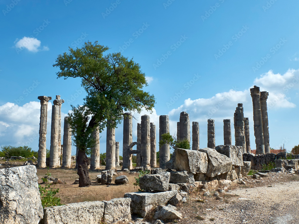 Corinthian columns of Zeus Olbios Temple, ancient Anatolian ...