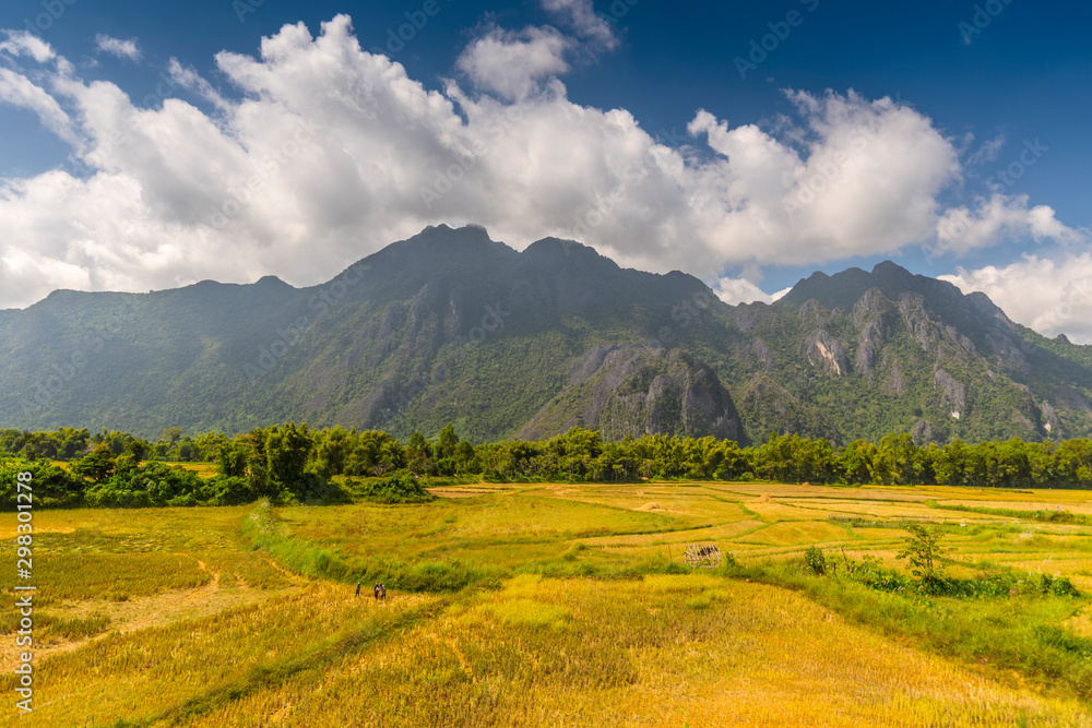 Rice field surrounded by rock formations in Vang Vieng, Laos. Vang ...