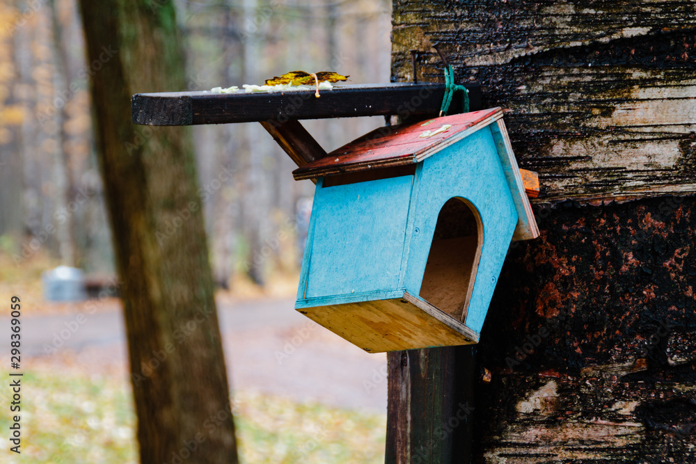 Empty cyan birdhouse hanging on bare tree in city Park on an foggy ...