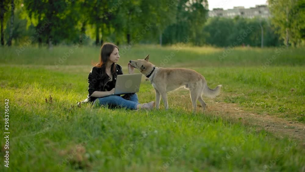 A purebred dog in the park coming to mistress, sitting with a laptop on ...