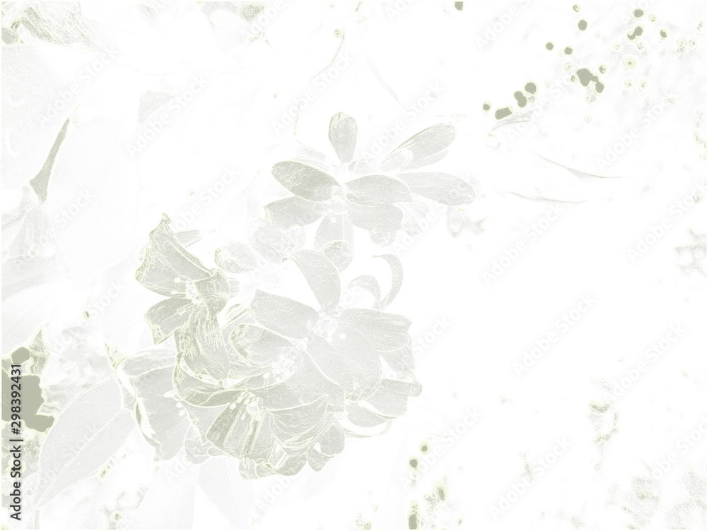 Light Grey Flower Background