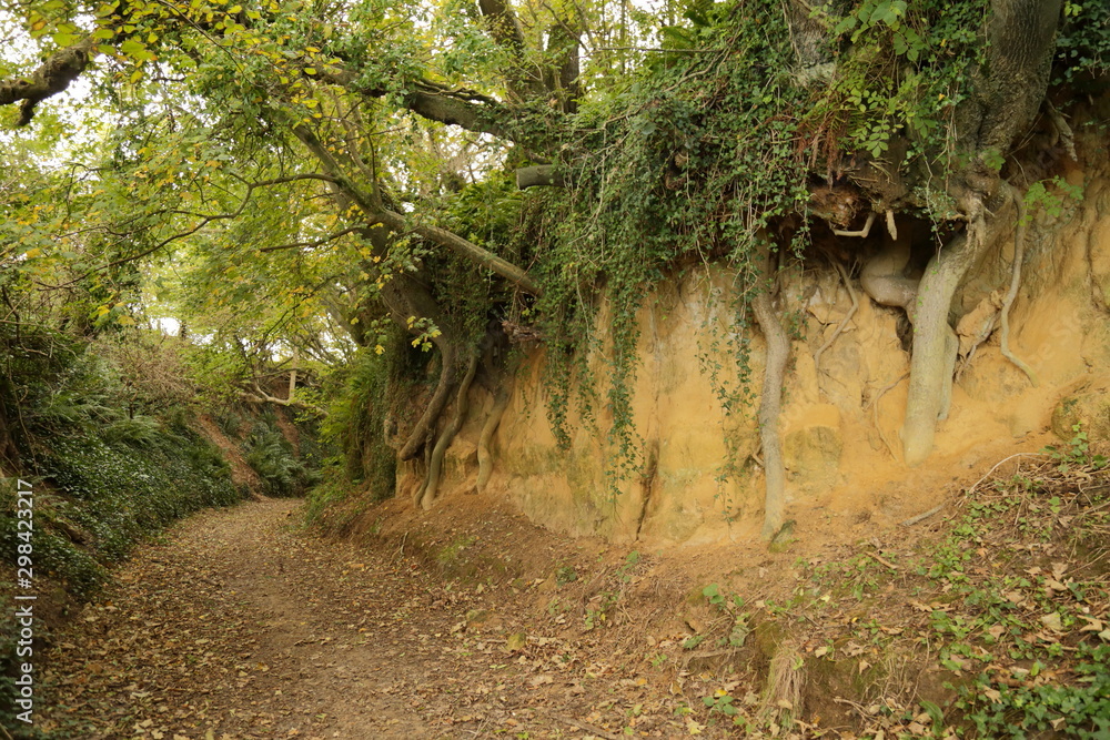 An ancient sunken path (Hell Lane) near village of Symondsbury in west ...