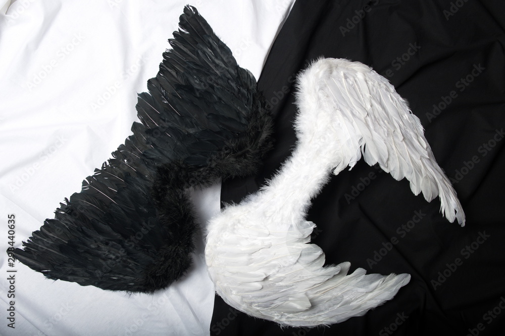 The wings of an angel and a demon.A symbol of good and evil.Yin yang ...