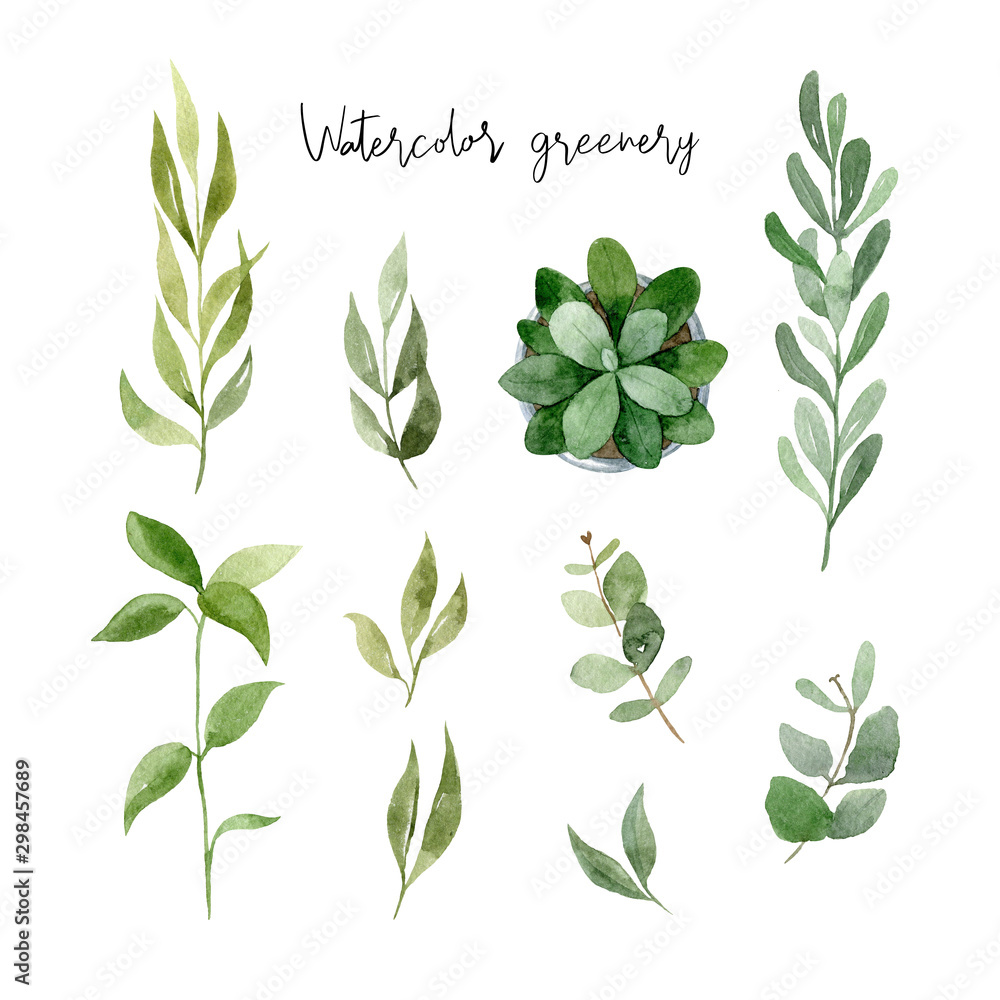 Watercolor greenery isolated on white background. Collection of green ...