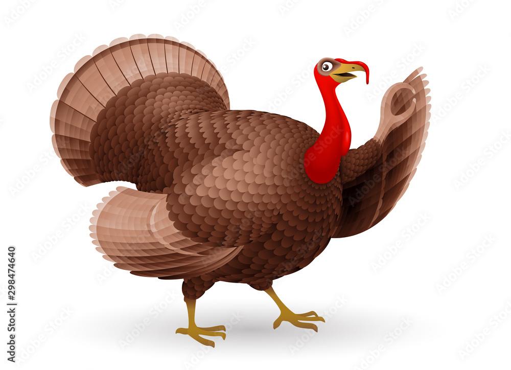 Cartoon smiling turkey bird isolated on white background Stock Vector ...