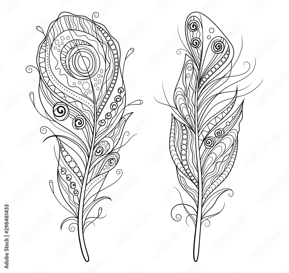 Set of decorative stylized outline feathers on white background. Vector ...