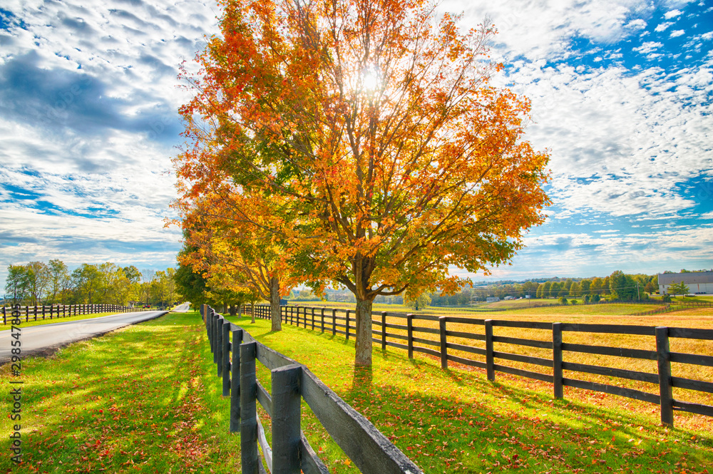 Beautiful autumn country landscape with road, colorful tree and ...