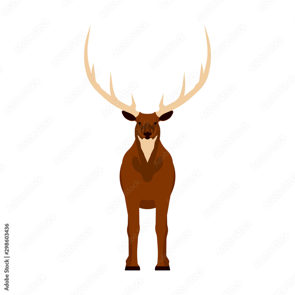 Elk Drawings Front View