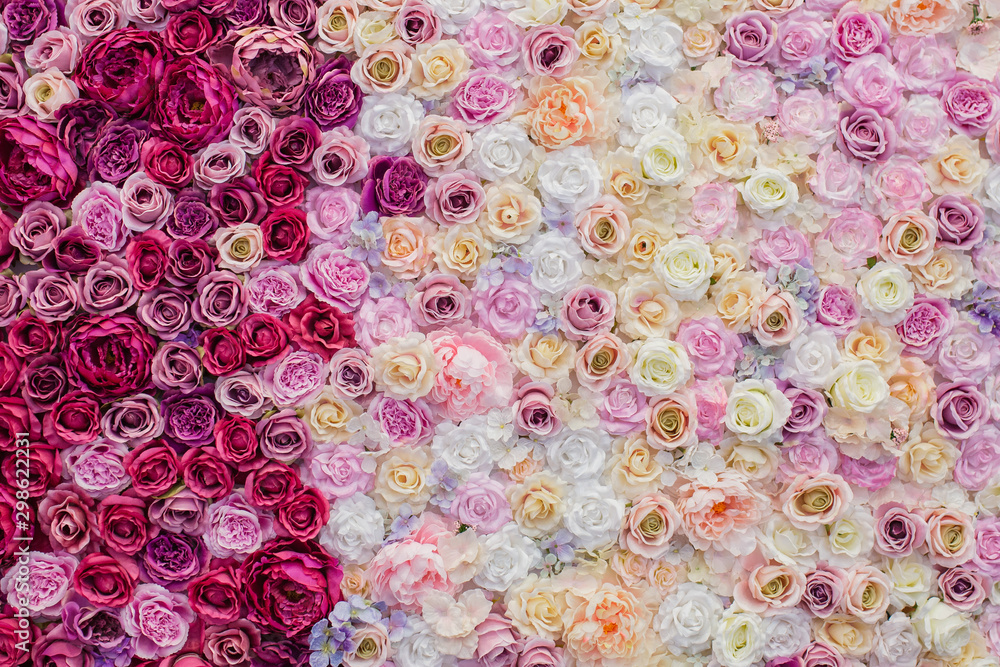 Pared hecha con rosas de diferentes tonos de color Stock Photo | Adobe ...