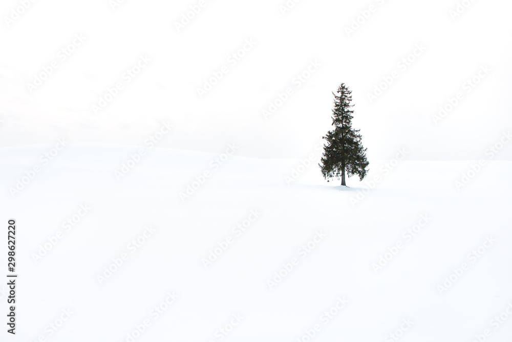 Lonely Christmas Tree
