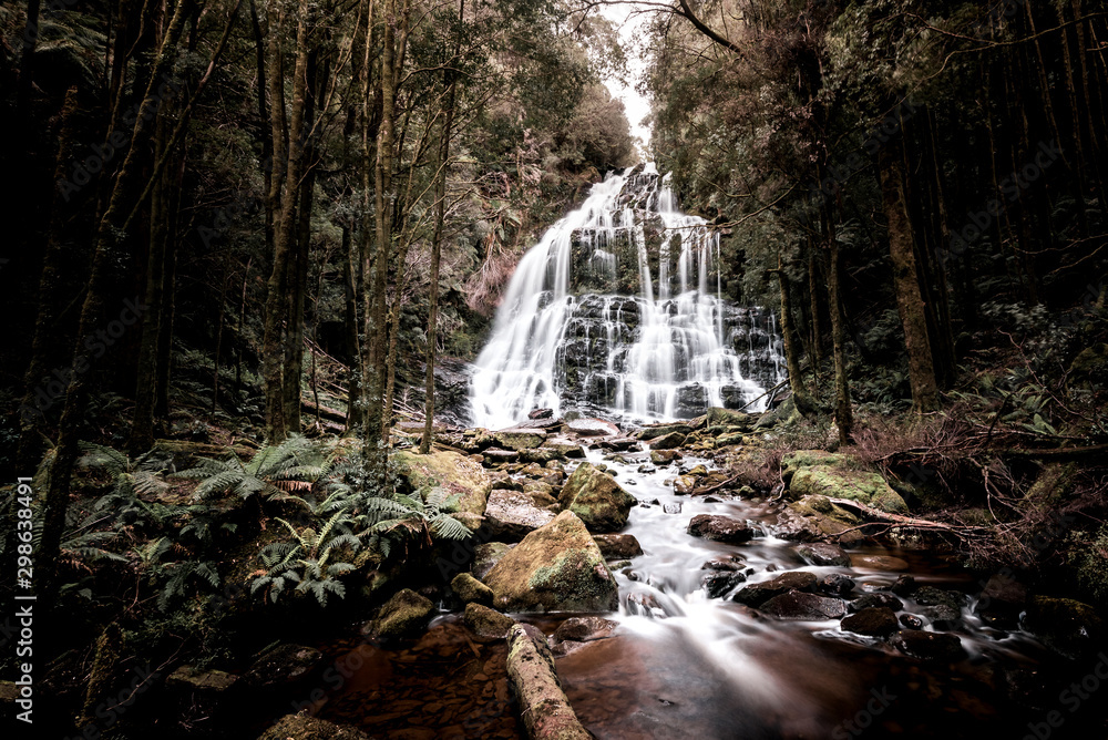 Bush hike past waterfalls and through the jungles of Tasmania ...