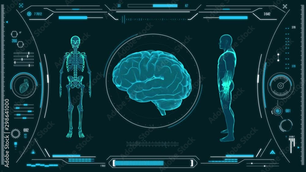 Human brain scan. Futuristic medical user interface with HUD and ...